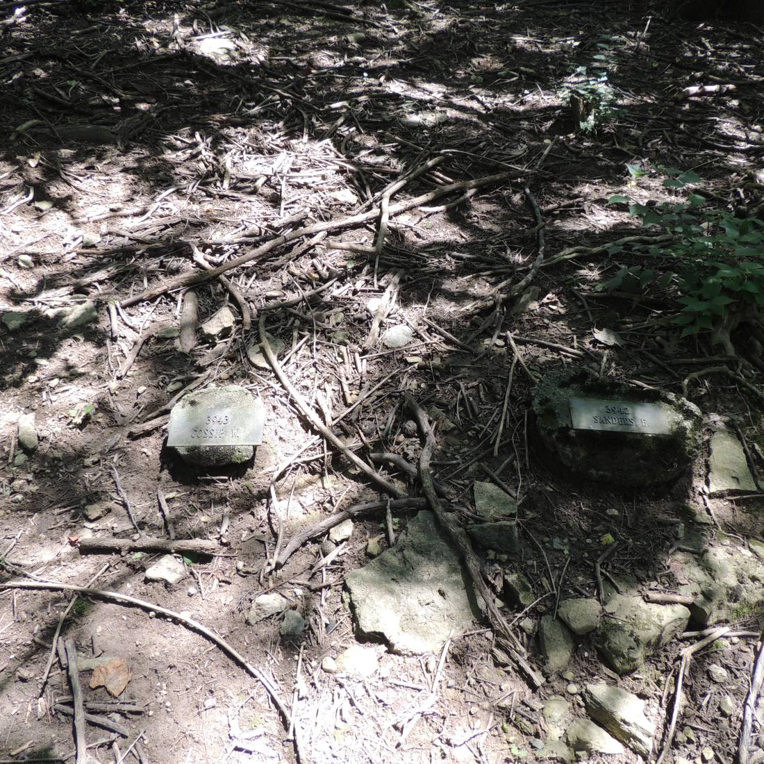 Price Hill Potter’s Field – Creepy Cincinnati