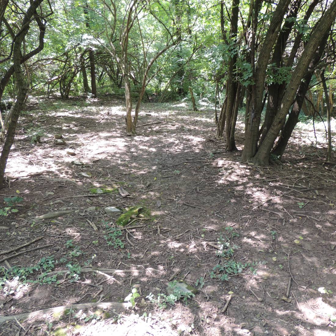 Price Hill Potter’s Field – Creepy Cincinnati